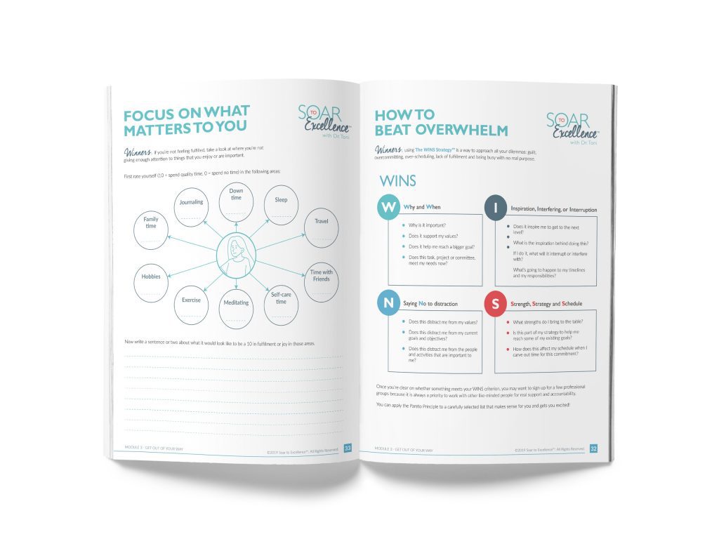 Soar to Excellence® Mindset Mastery OnDemand Course Companion Workbook ...